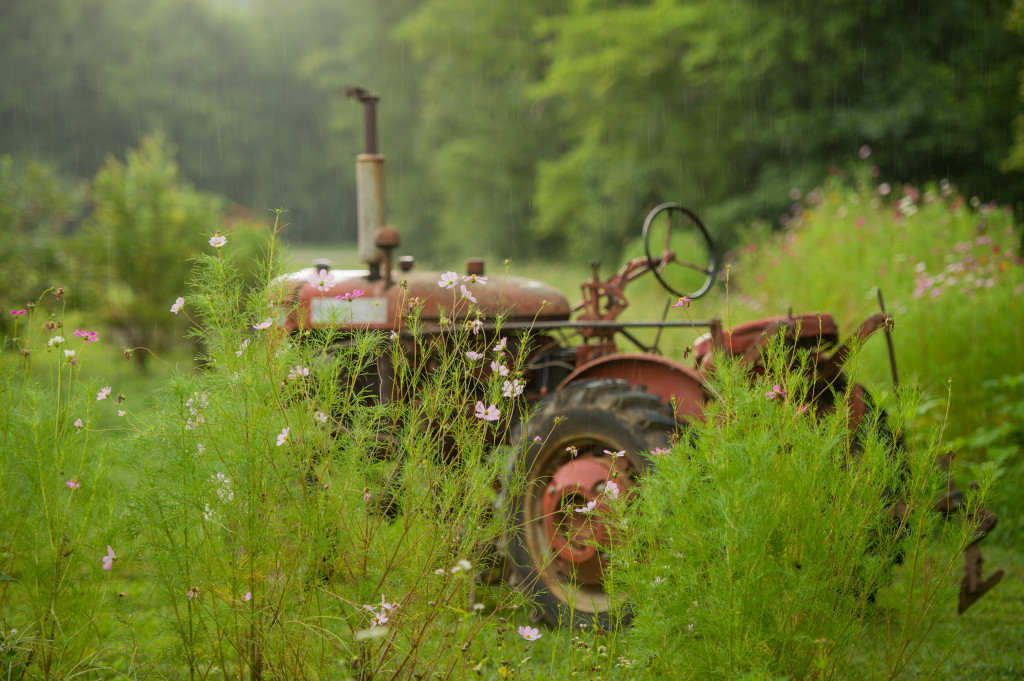 Sustainable Farm Living Conference 2016 - Stoney Creek Farm