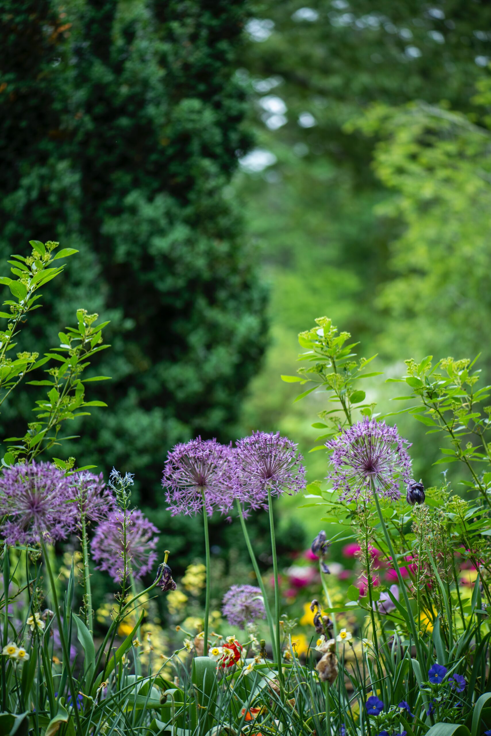 Keeping Bugs at Bay with Diatomaceous Earth - Stoney Creek Farm