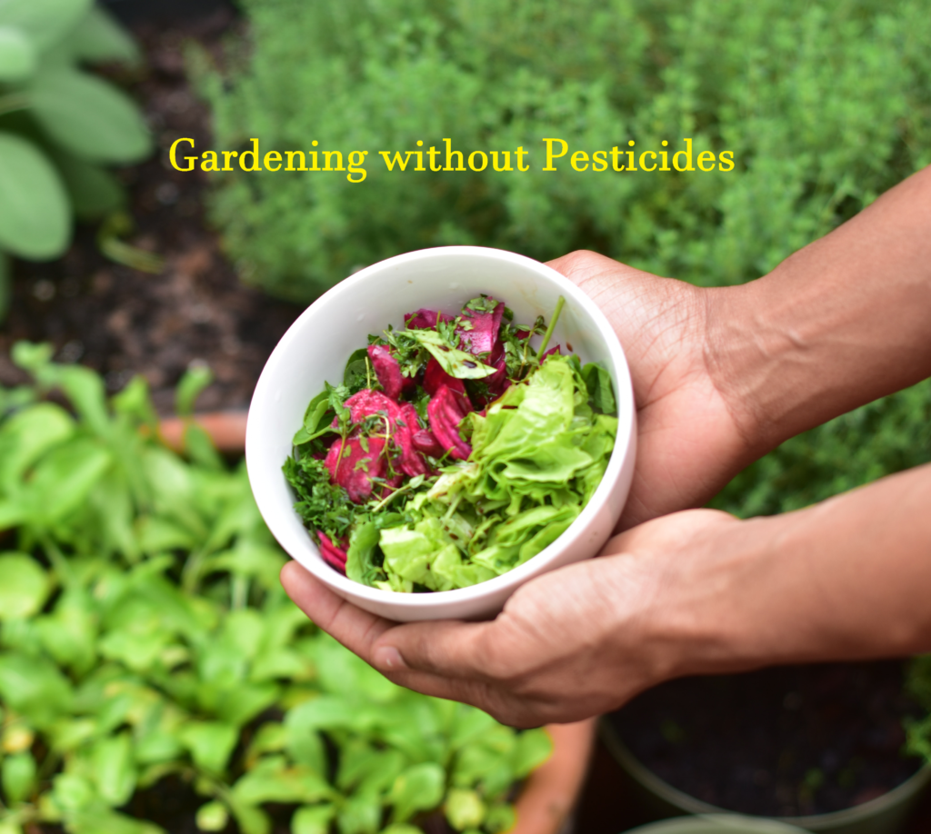 Gardening Without Pesticides E-Book - Stoney Creek Farm