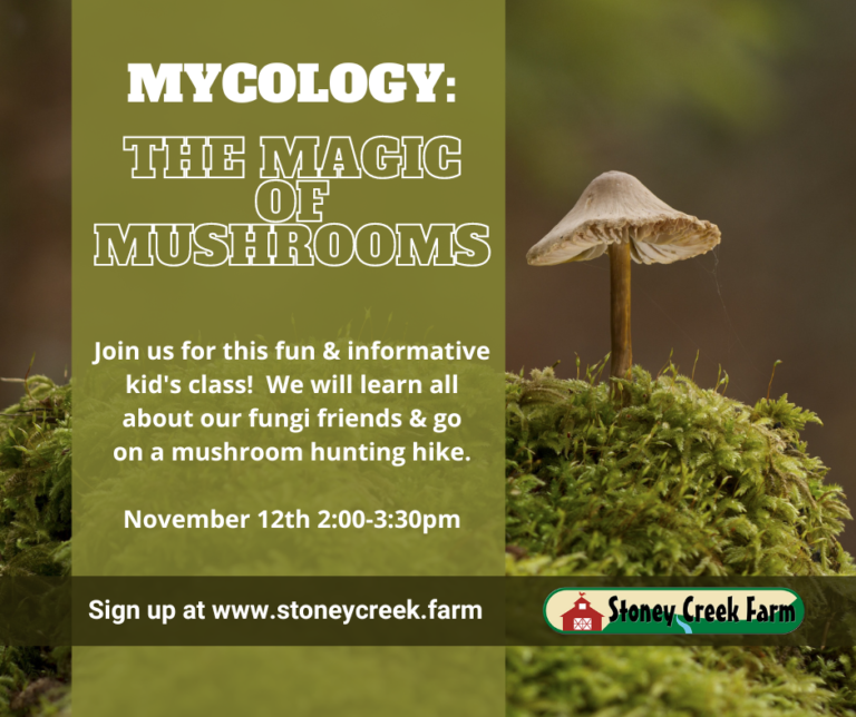 Kid's Class: Mycology - the Magic of Mushrooms - Stoney Creek Farm