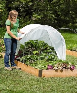 Winter Gardening with Row Covers - Stoney Creek Farm
