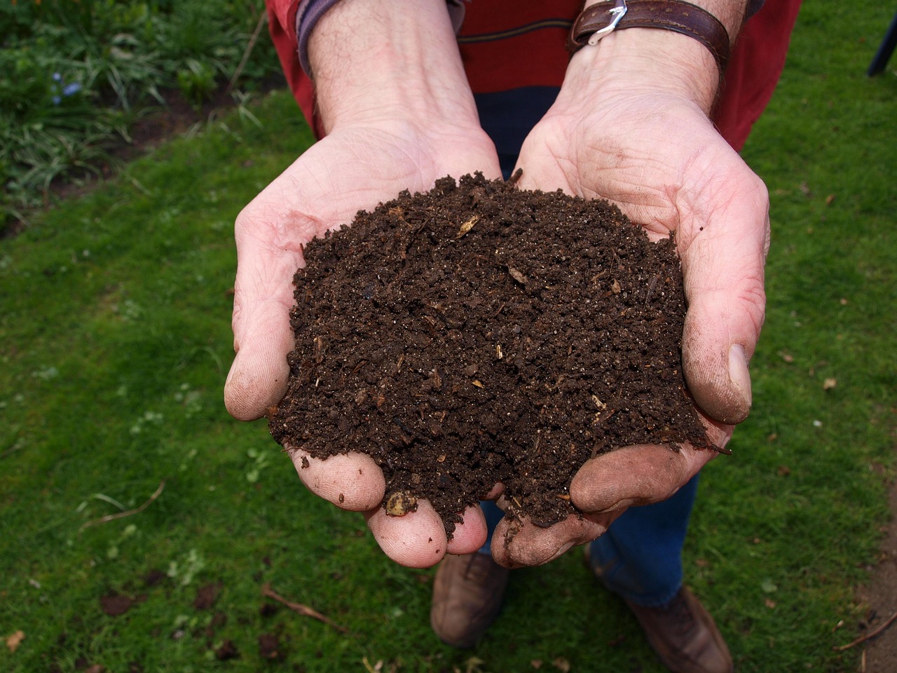 How to Build Healthy Soil for the Next Season - Stoney Creek Farm