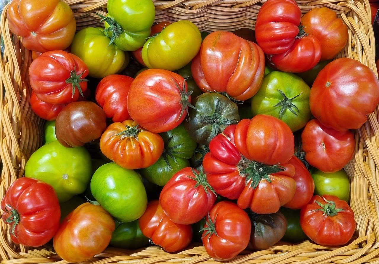 How to Save Heirloom Tomato Seeds - Stoney Creek Farm